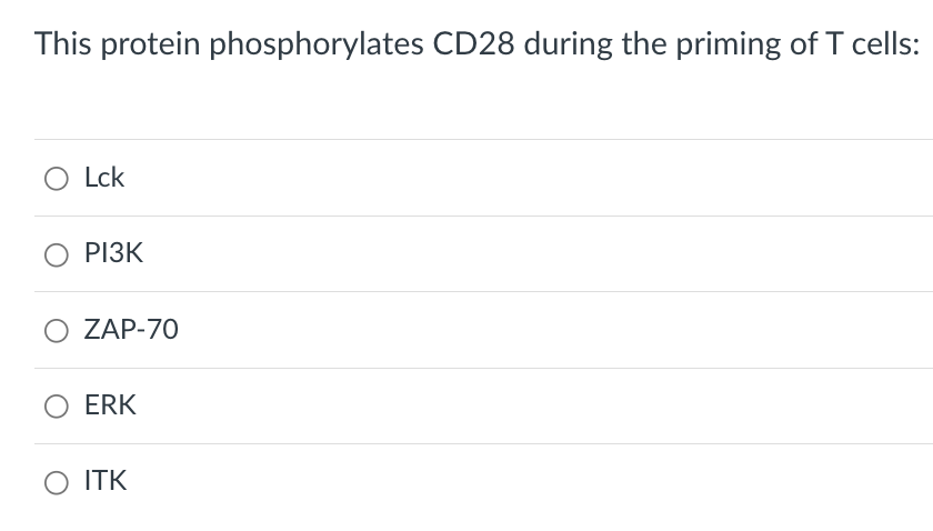 Solved This protein phosphorylates CD28 during the priming | Chegg.com