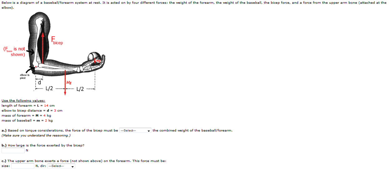 Solved Below is a diagram of a baseball/forearm system at | Chegg.com