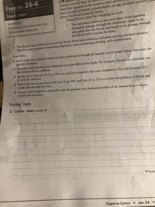 Solved of sm Longitudinal layer of smooth muscle Lumen | Chegg.com