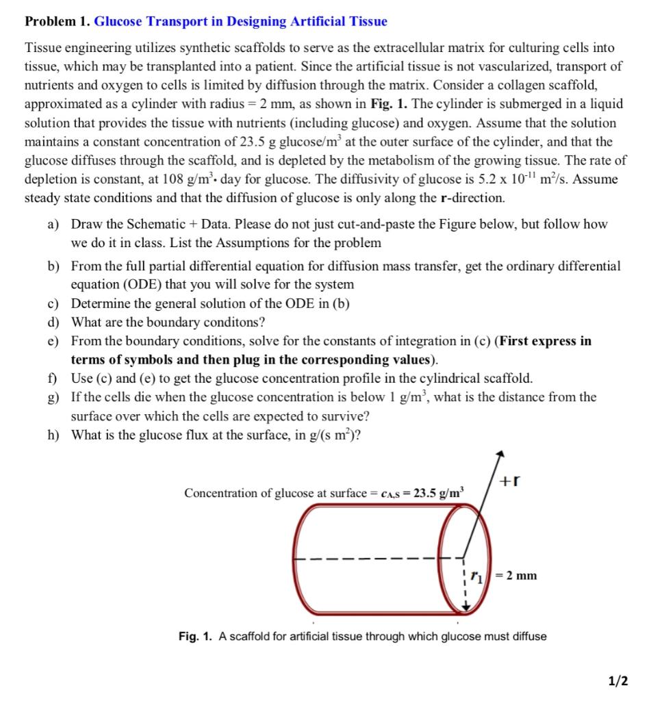 Solved Tissue engineering utilizes synthetic scaffolds to | Chegg.com