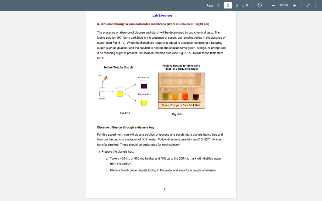 Biology Cell Lab: Passive transport through membranes | Chegg.com