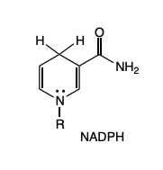 Solved NADPH NH2 NADPH | Chegg.com