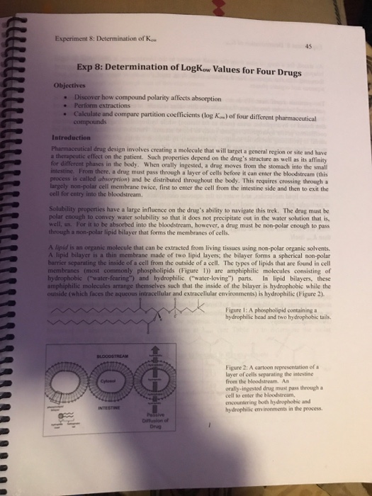 Solved Experiment 8: Determination of k 45 Exp 8: | Chegg.com