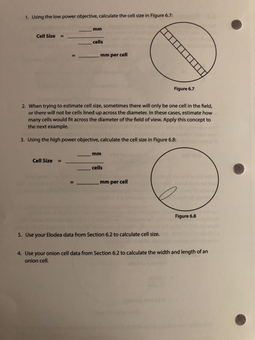 Solved 1. Using the low power objective, calculate the cell | Chegg.com