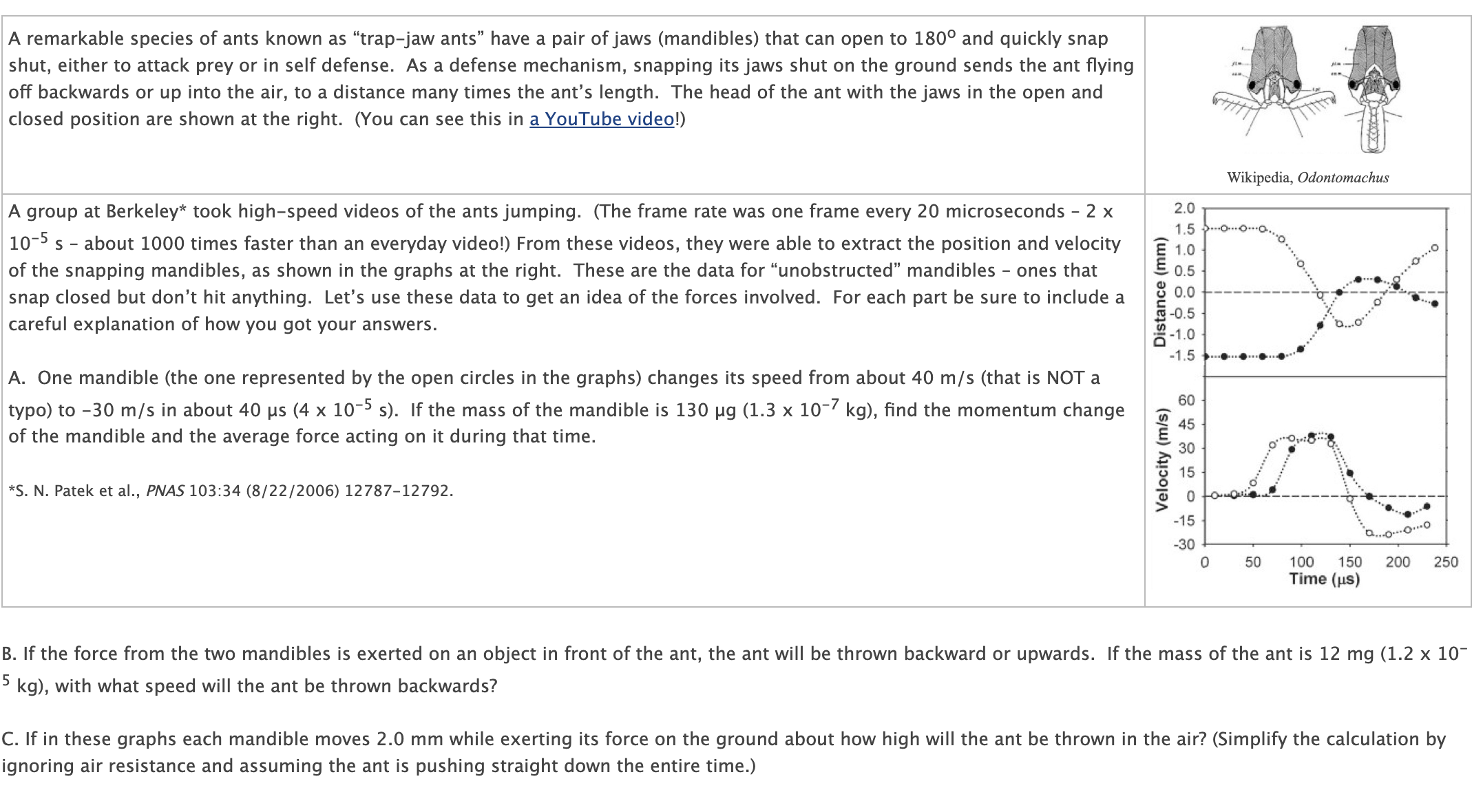 Solved A group at Berkeley* ﻿took high-speed videos of the | Chegg.com