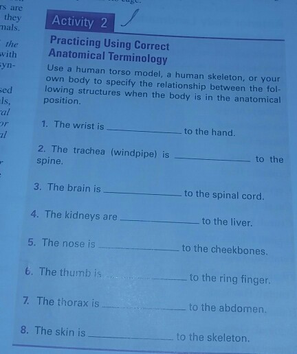 Solved rs are they mals the with yn- Activity 2 Practicing | Chegg.com