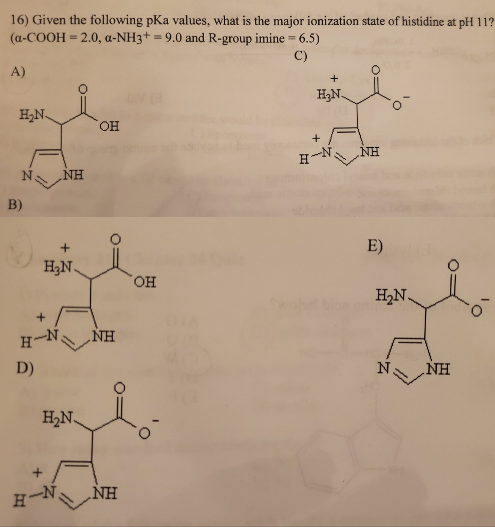 Solved Given the following pKa values, what is the major | Chegg.com