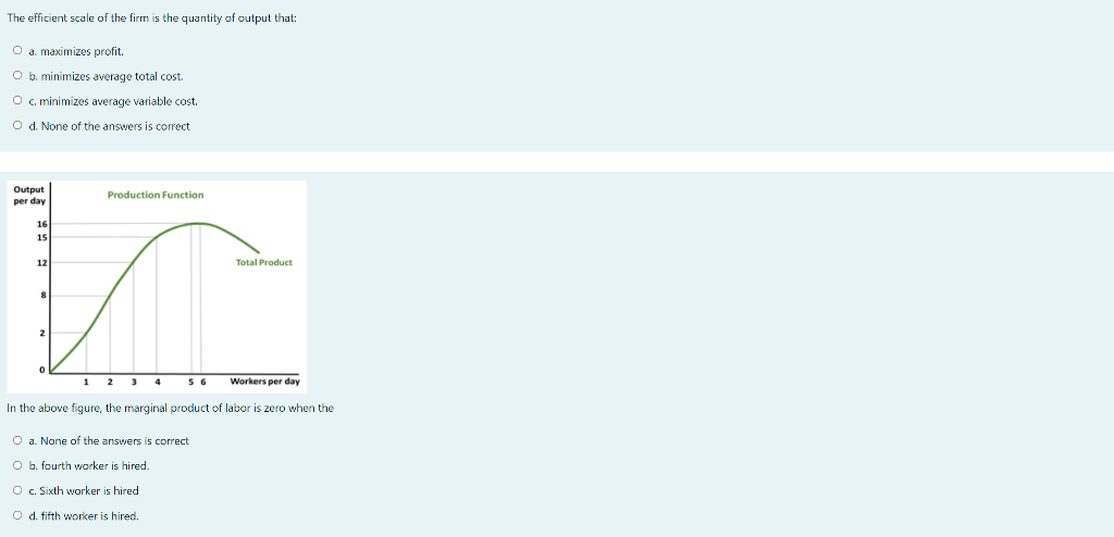 Solved The efficient scale of the firm is the quantity of | Chegg.com