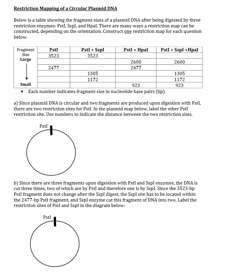 Solved Restriction Digestion problem -- Please help me with | Chegg.com