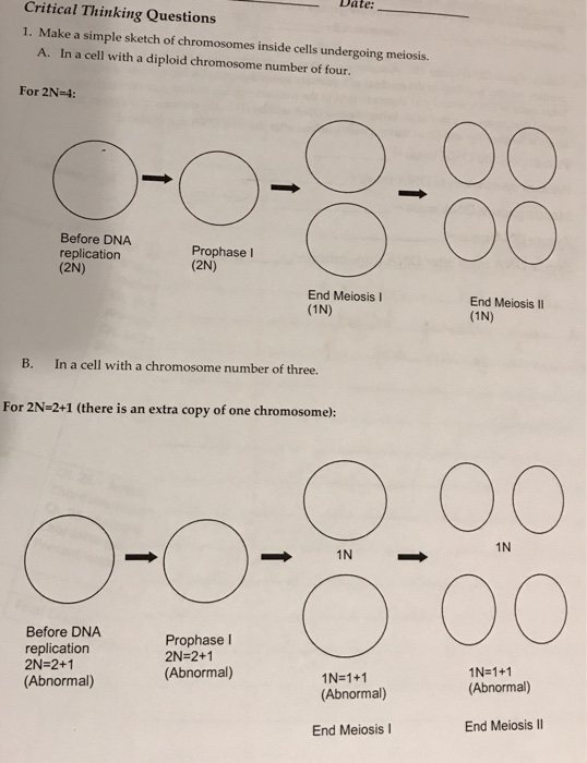 Solved Date:. Critical Thinking Questions 1. Make a simple | Chegg.com