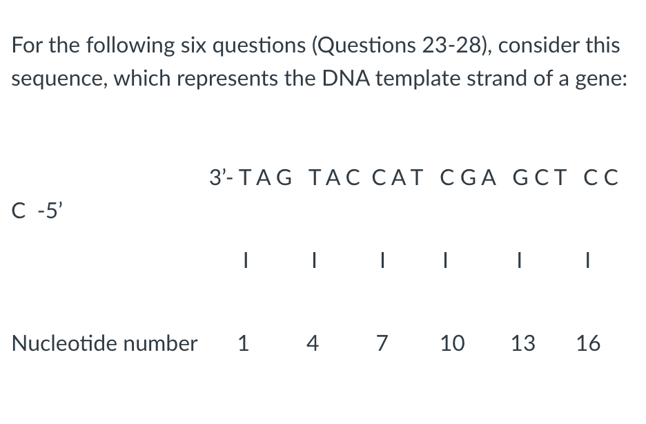 For the following six questions (Questions 23-28), | Chegg.com