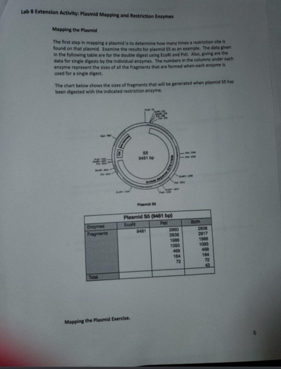 Lab 8 Extension Activity: Plasmid Mapping and | Chegg.com