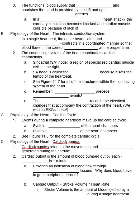 Solved 1. Chapter 11: The Cardiovascular System The | Chegg.com