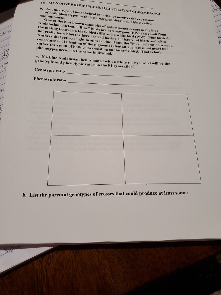 Solved 1. MONOHYBRID PROBLEMS ILLUSTRATING CODOMINANCE 9. | Chegg.com