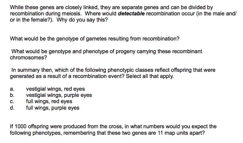 Solved The recessive mutations vestigial wing (vg) and | Chegg.com