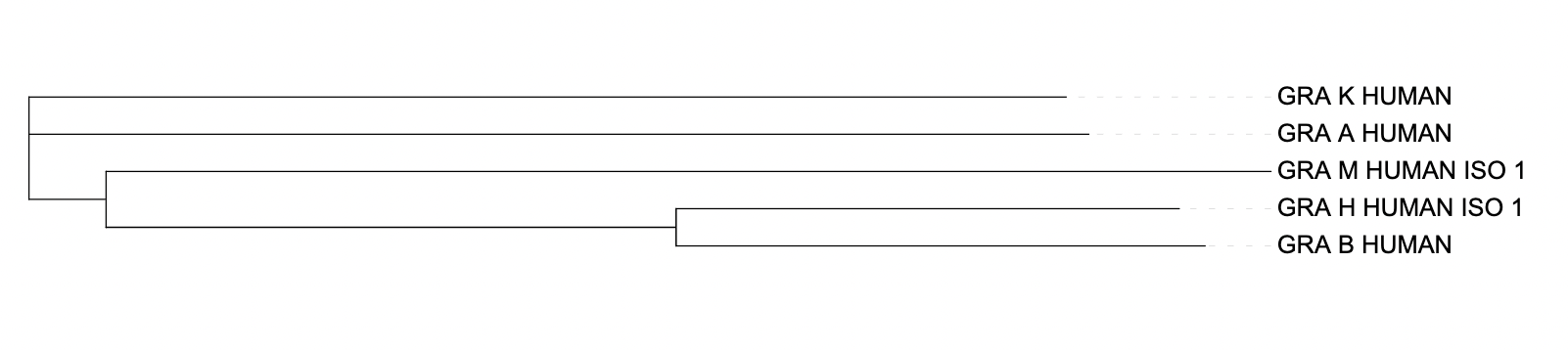 Solved This is a phyolgenetic tree GRA K HUMAN branch | Chegg.com