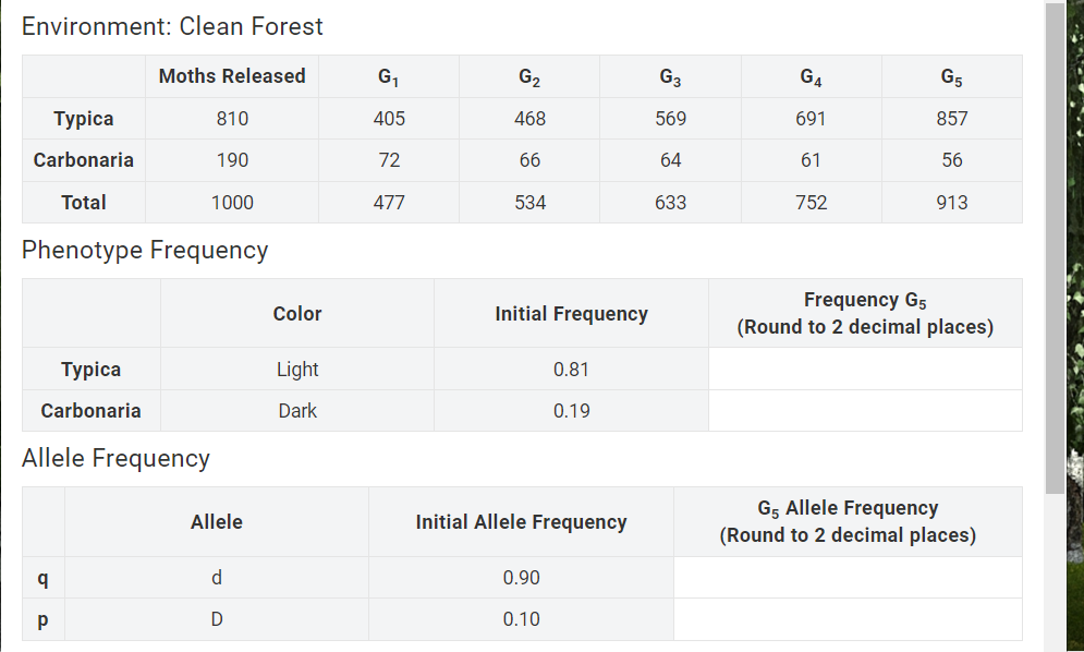 Solved Environment: Clean Forest Phenotype Frequency Allele | Chegg.com