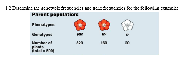 Solved 1.2 Determine the genotypic frequencies and gene | Chegg.com