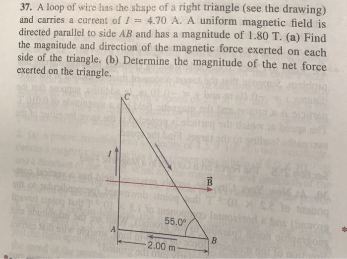 Solved 37. A loop of wire has the shape of a right triangle | Chegg.com