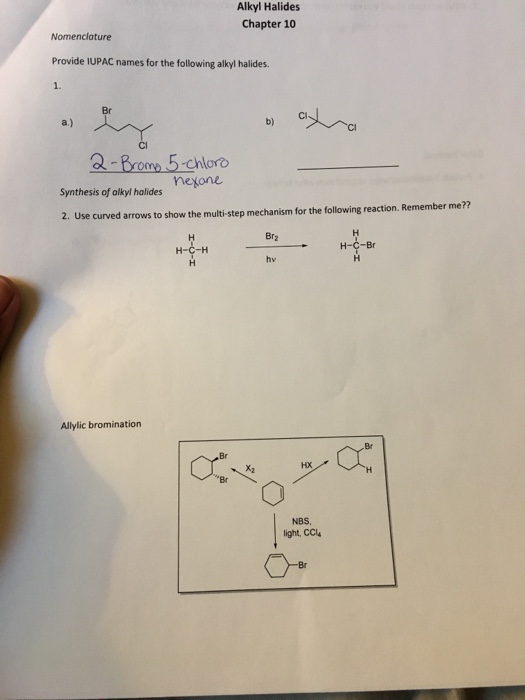 Solved Alkyl Halides Chapter 10 Nomenclature Provide IUPAC | Chegg.com