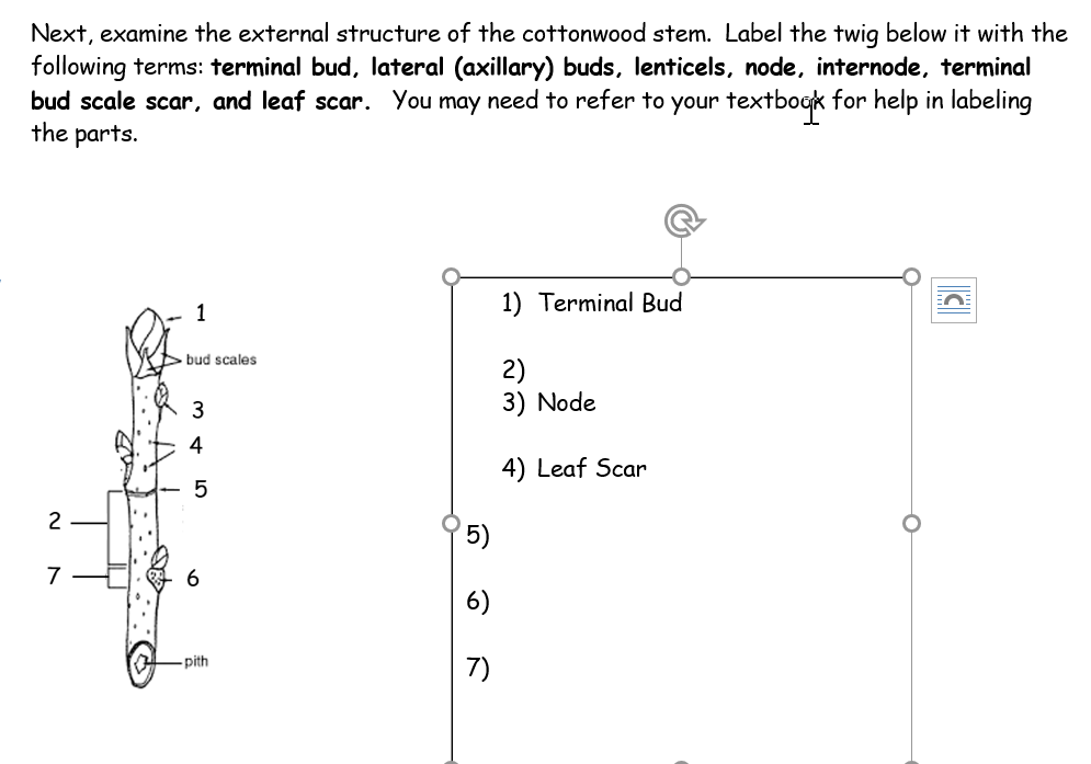 Solved Next, examine the external structure of the | Chegg.com