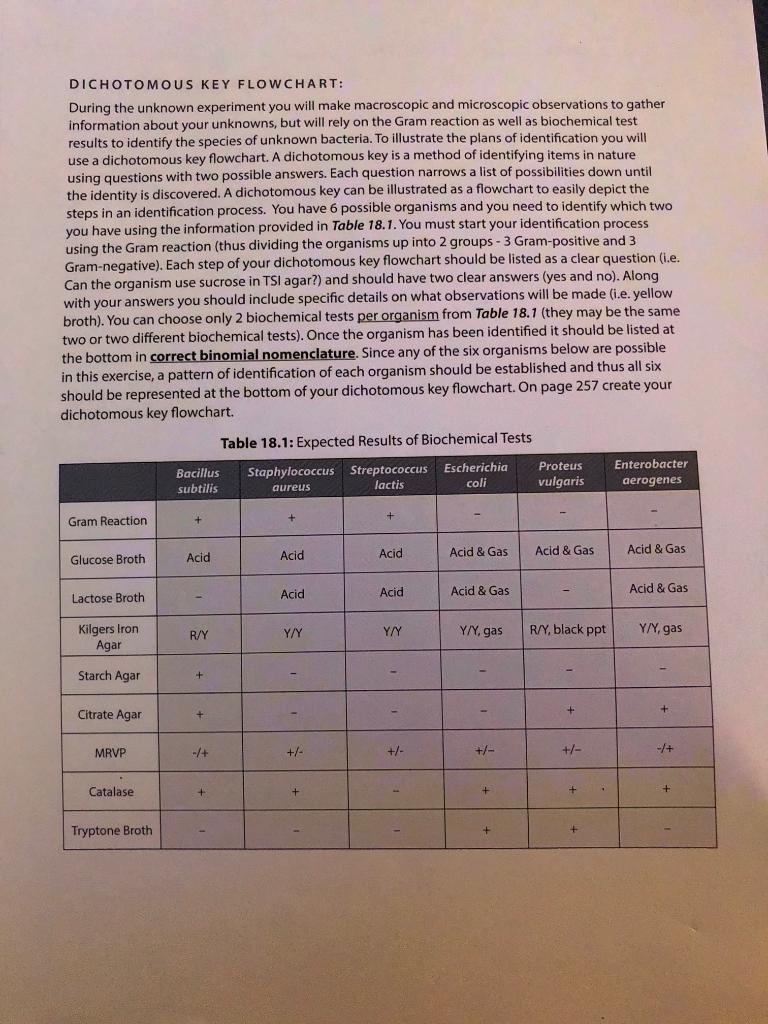 Solved create a statement of purpose and dichotomous key | Chegg.com