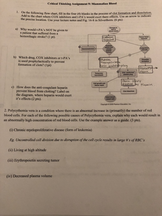 Solved Critical Thinking Assignment 9: Mammalian Blood 1. On | Chegg.com