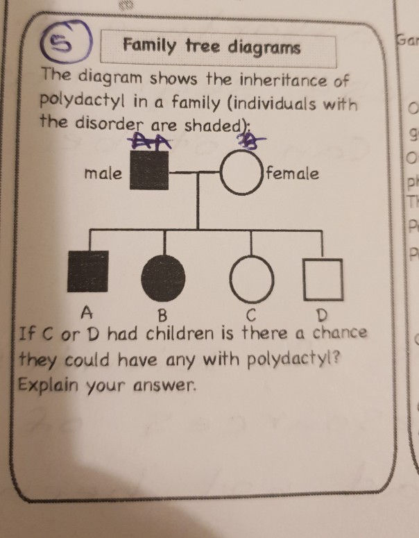 Solved Gar Family tree diagrams The diagram shows the | Chegg.com