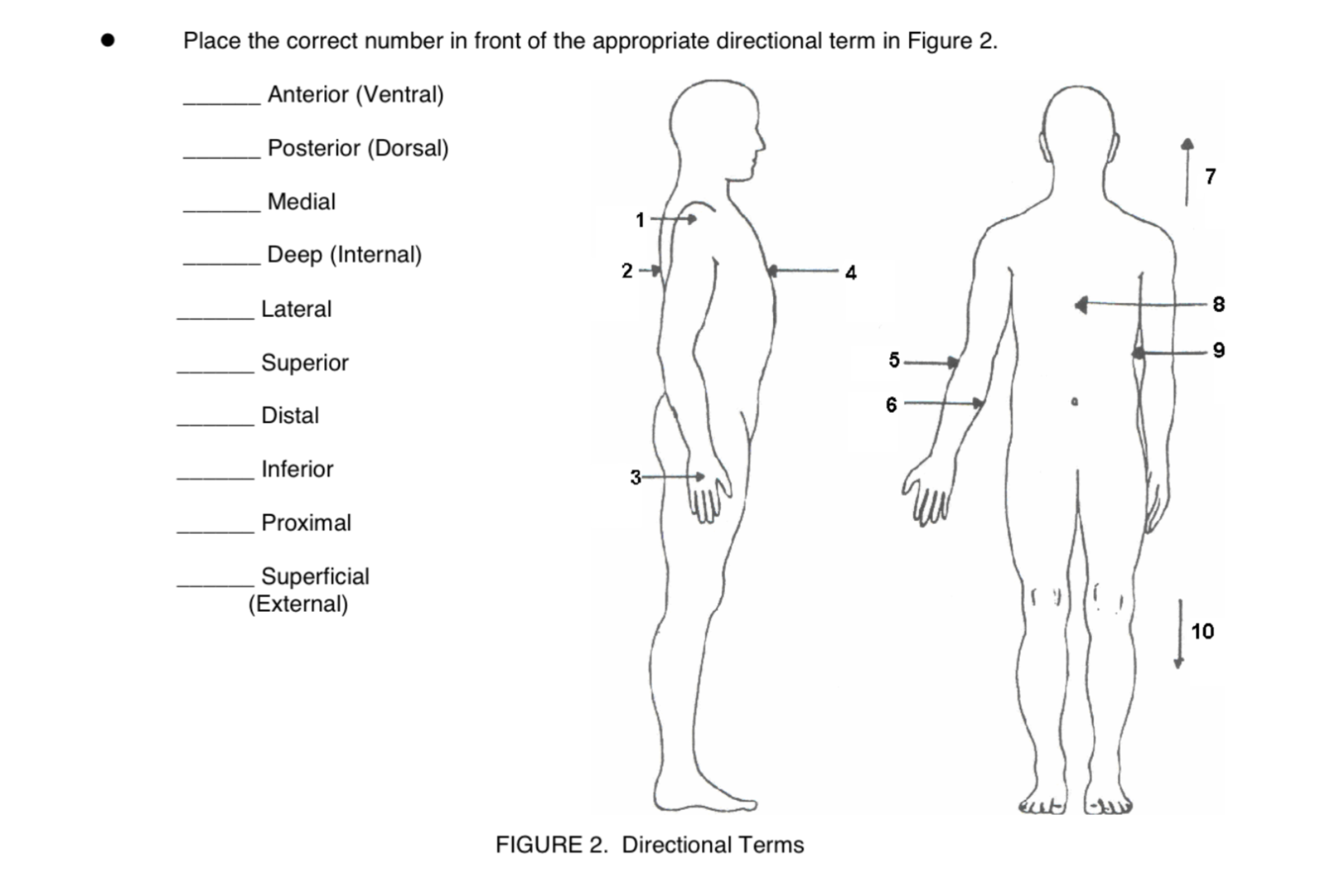Solved , ﻿Place the correct number in front of the | Chegg.com