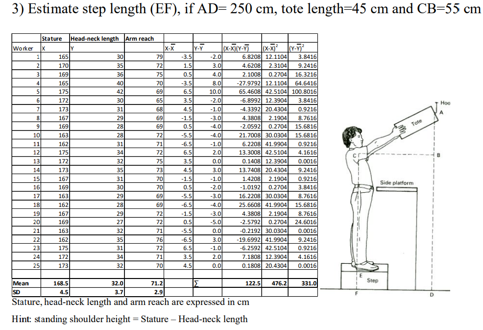Estimate step length (EF), ﻿if AD=250cm, ﻿tote length | Chegg.com