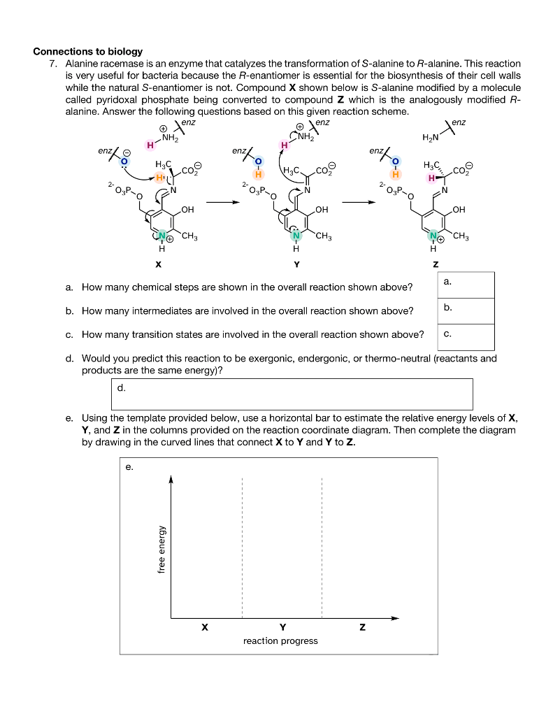 Solved Connections to biology 7. Alanine racemase is an | Chegg.com