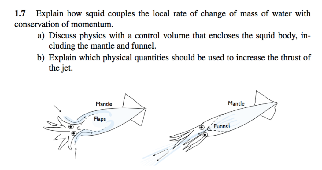 Solved 1.7 Explain how squid couples the local rate of | Chegg.com