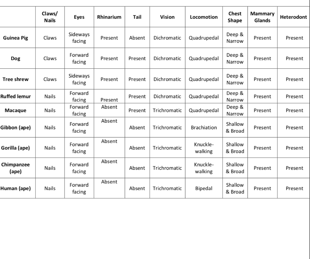 Solved Use the following table of character states to | Chegg.com