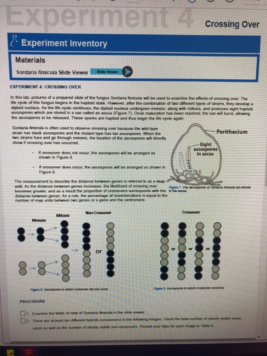 Mitosis and Meiosis xperiment 4: Crossing Over Data | Chegg.com