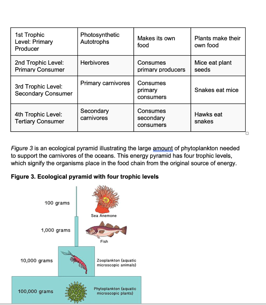 Solved Figure 1. Food chain with producer and consumers | Chegg.com