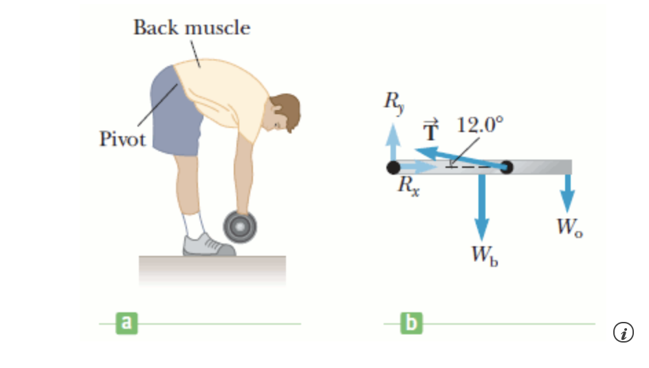 A person bending forward to lift a load "with his | Chegg.com