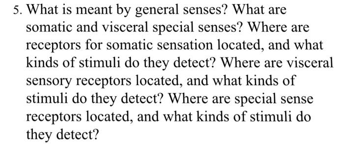 Solved 5. What is meant by general senses? What are somatic | Chegg.com