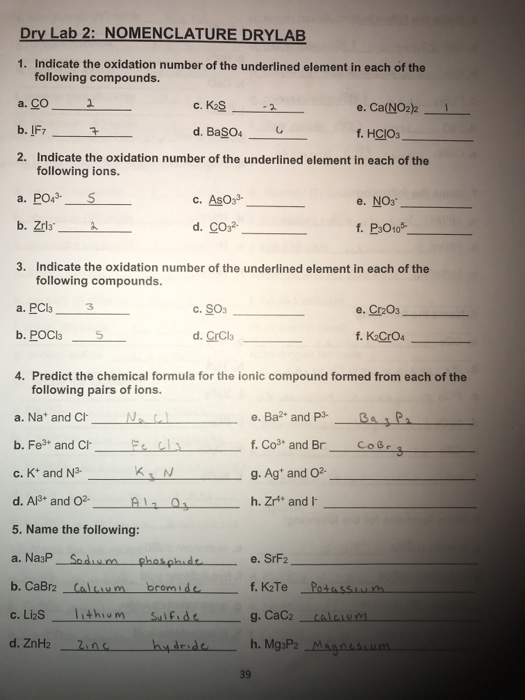 Solved Dry Lab 2: NOMENCLATURE DRYLAB 1. Indicate the | Chegg.com