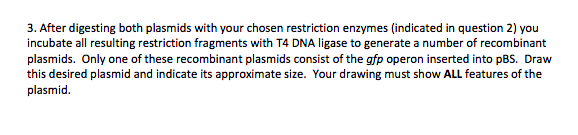 Solved The features of two plasmids, pkan-GFP and PBS, are | Chegg.com