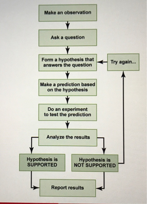 Solved Make an observation Ask a question Form a hypothesis | Chegg.com