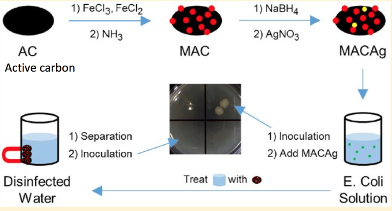 1. In this lab, a novel magnetic antimicrobial | Chegg.com