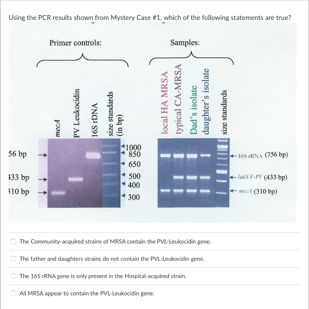 Solved Using the PCR results shown from Mystery Case #1, | Chegg.com