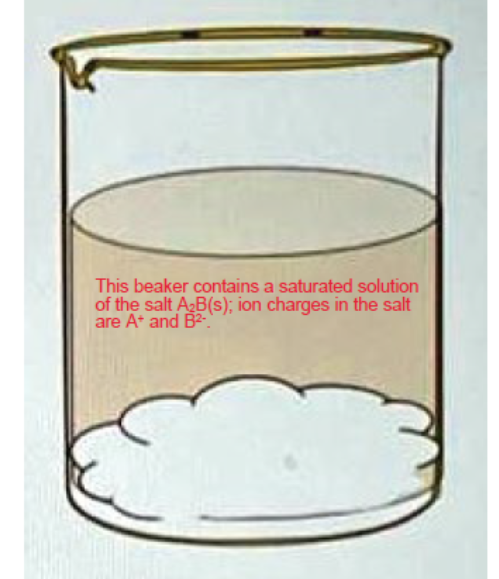 Solved This beaker contains a saturated solution of the salt | Chegg.com