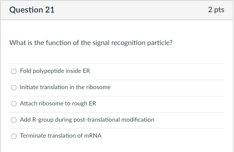 Solved Question 19 2 pts The leader sequence of a | Chegg.com