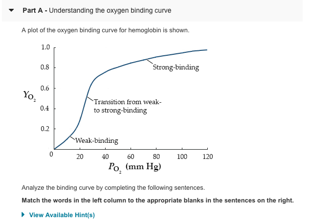 Solved Part A - Understanding the oxygen binding curve A | Chegg.com