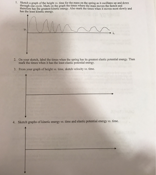 Solved Sketch a graph of the height vs. time for the mass on | Chegg.com