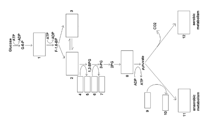 Solved Indicate On The Figure Over The Page The