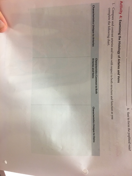 Solved Examining the Histology of Arteries and Veins | Chegg.com