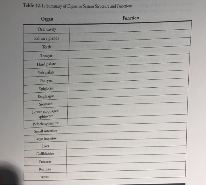 Solved Table 12-1. Summary of Digestive System Structure and | Chegg.com