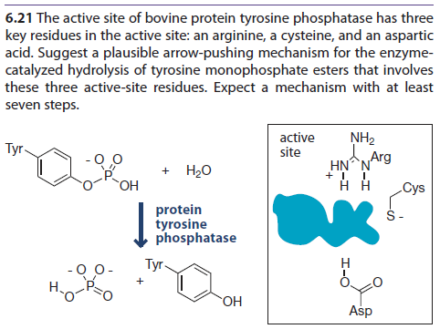Solved 6.21 The active site of bovine protein tyrosine | Chegg.com